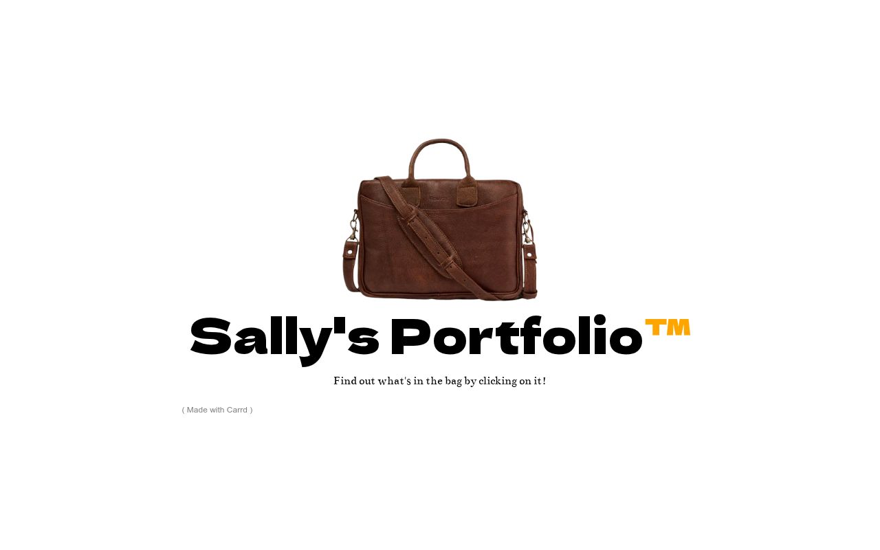 Sally's Portfolio